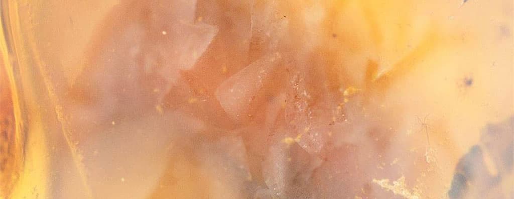 Biotechnology: making innovative ingredients with love for nature ...