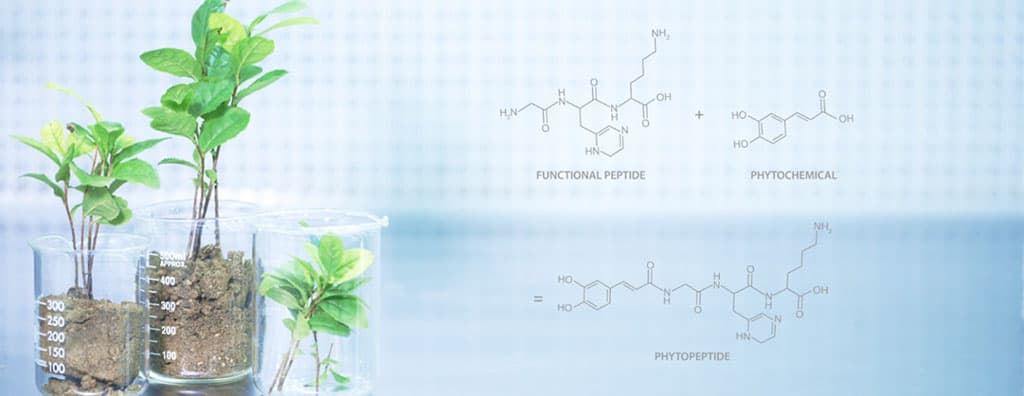 Biotechnology: making innovative ingredients with love for nature ...
