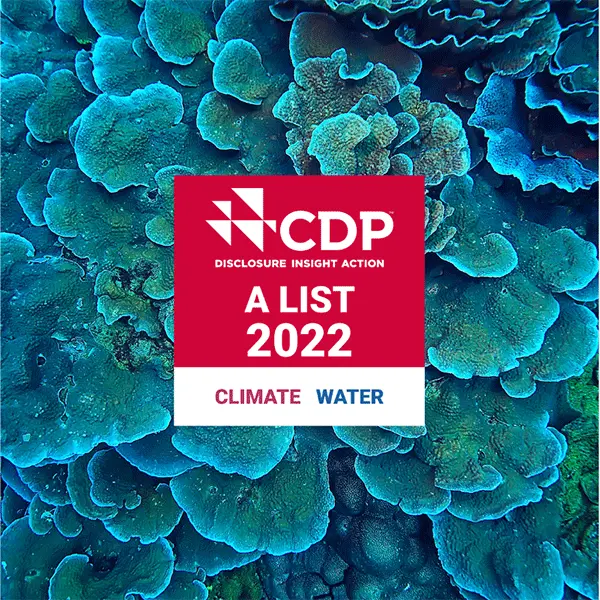 Givaudan recognised for climate and water leadership with fourth consecutive CDP double A | Givaudan