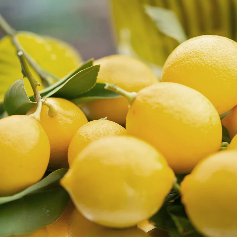 TasteEssentials® for refreshing citrus beverages | Givaudan