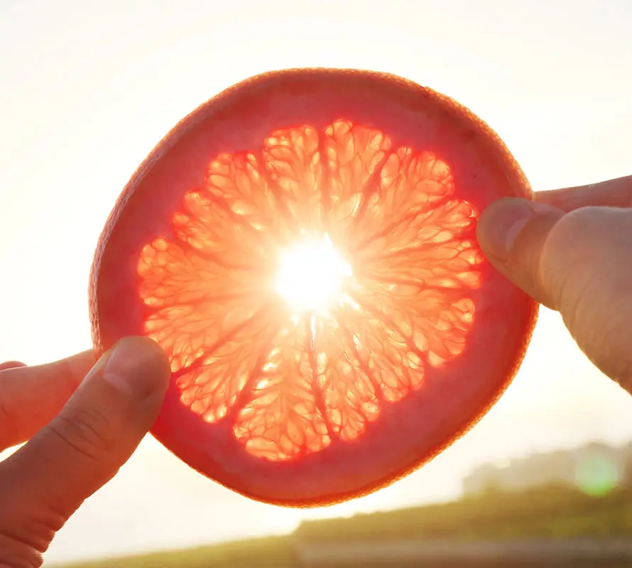 BioNootkatone by Givaudan | Givaudan