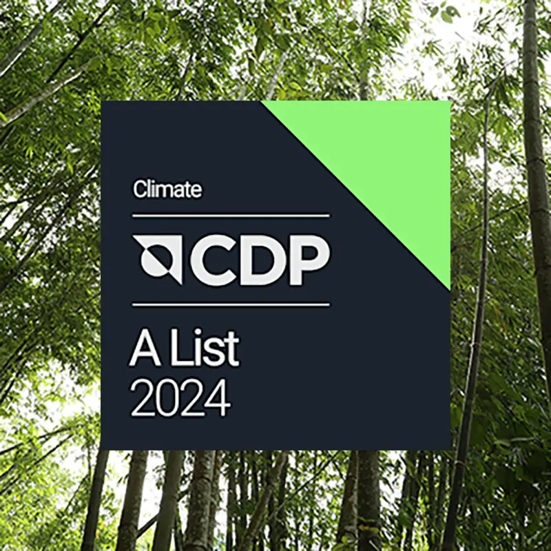 Givaudan secures sixth consecutive CDP A for climate action | Givaudan