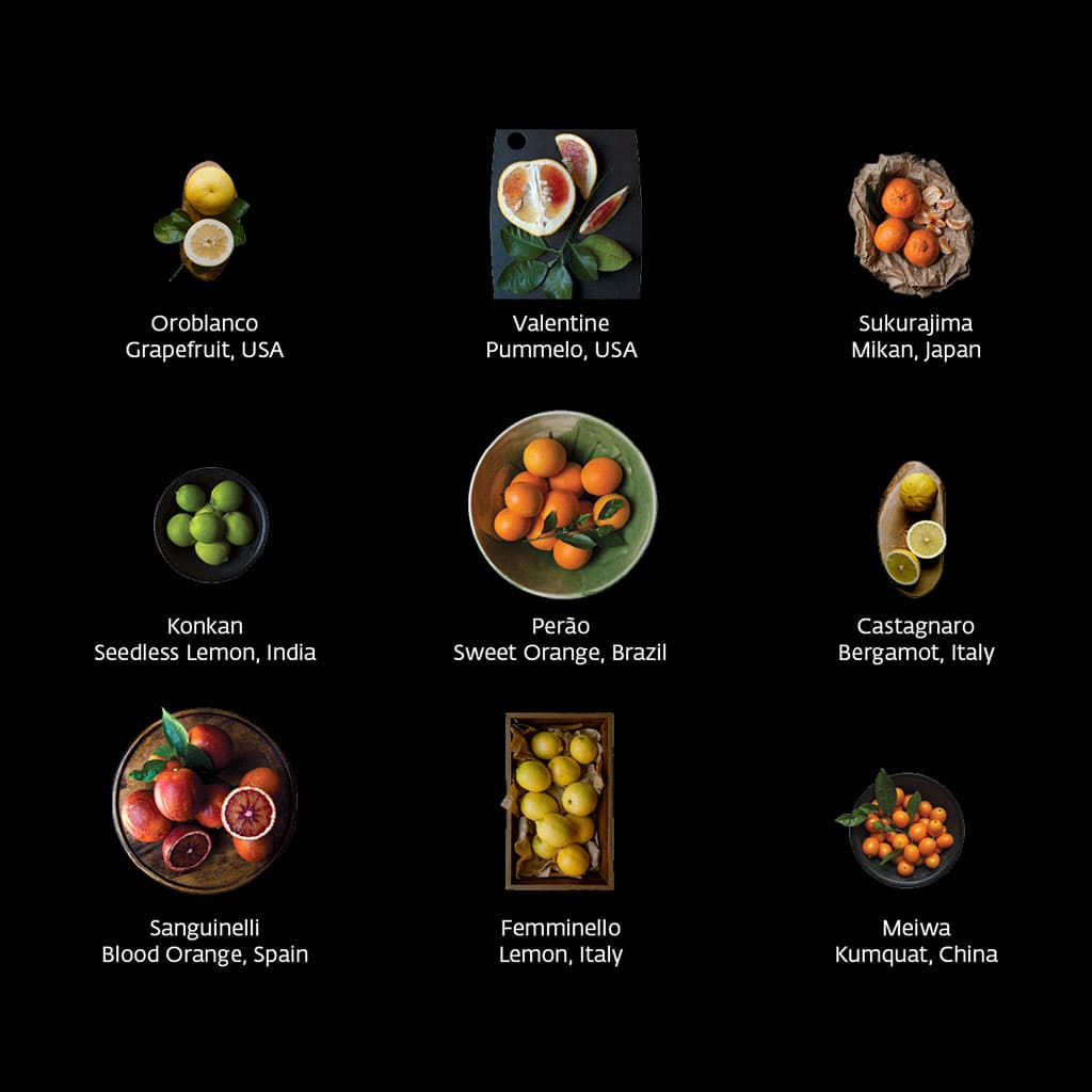 Natural citrus flavours to excite the senses | Givaudan