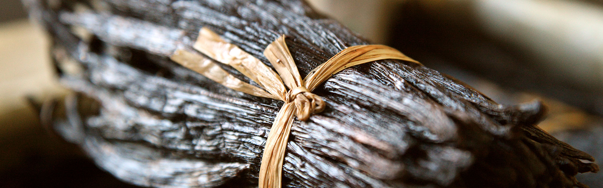 Under the skin of the world’s best bean | Givaudan